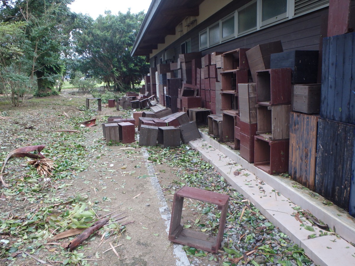 Snap.as: Share your photos — Aoshima after Super Typhoon 14