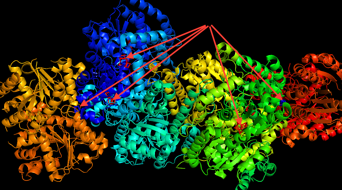 "Identify the molecule" league #8. Molecule of the month (February ...