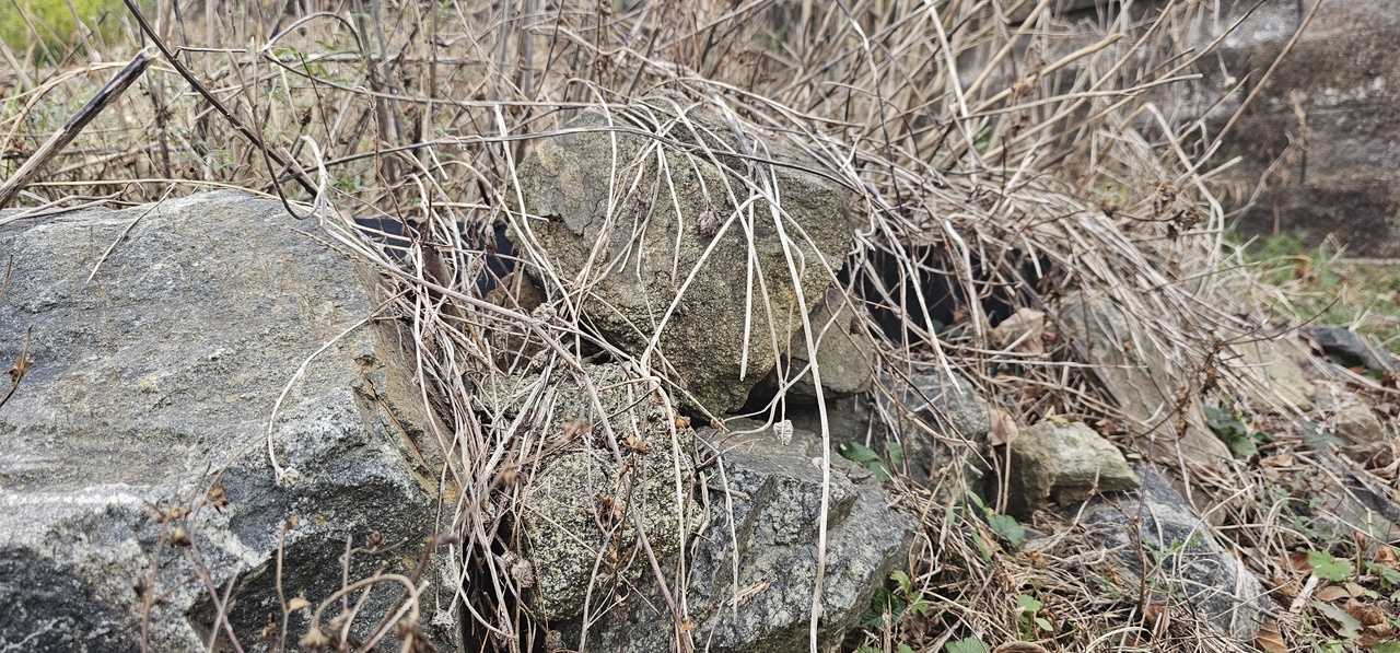 Selecting Specific Natives for Your Garden — Habitat Gardening