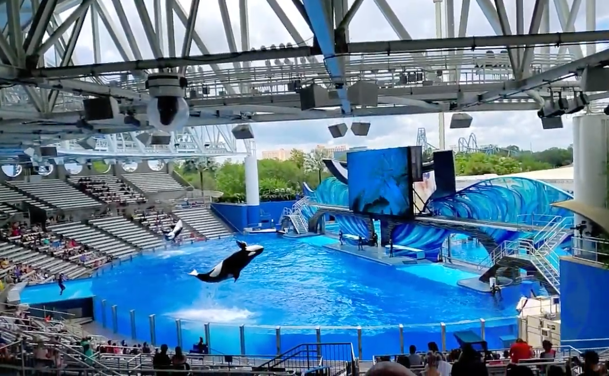 Seaworld Orlando Reopening Review — stoney