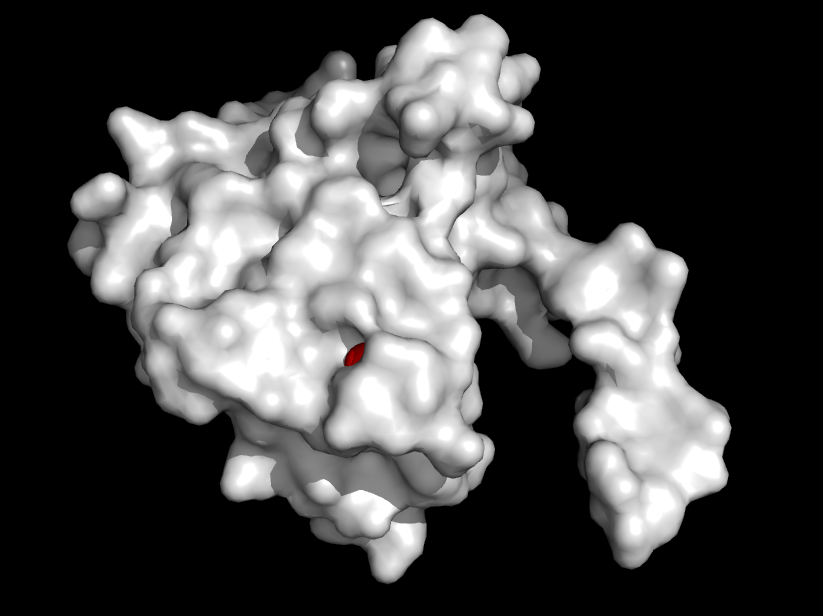 "Identify the molecule" league #5. Prize: knowledge + 5 XRP + 200 TMN ...