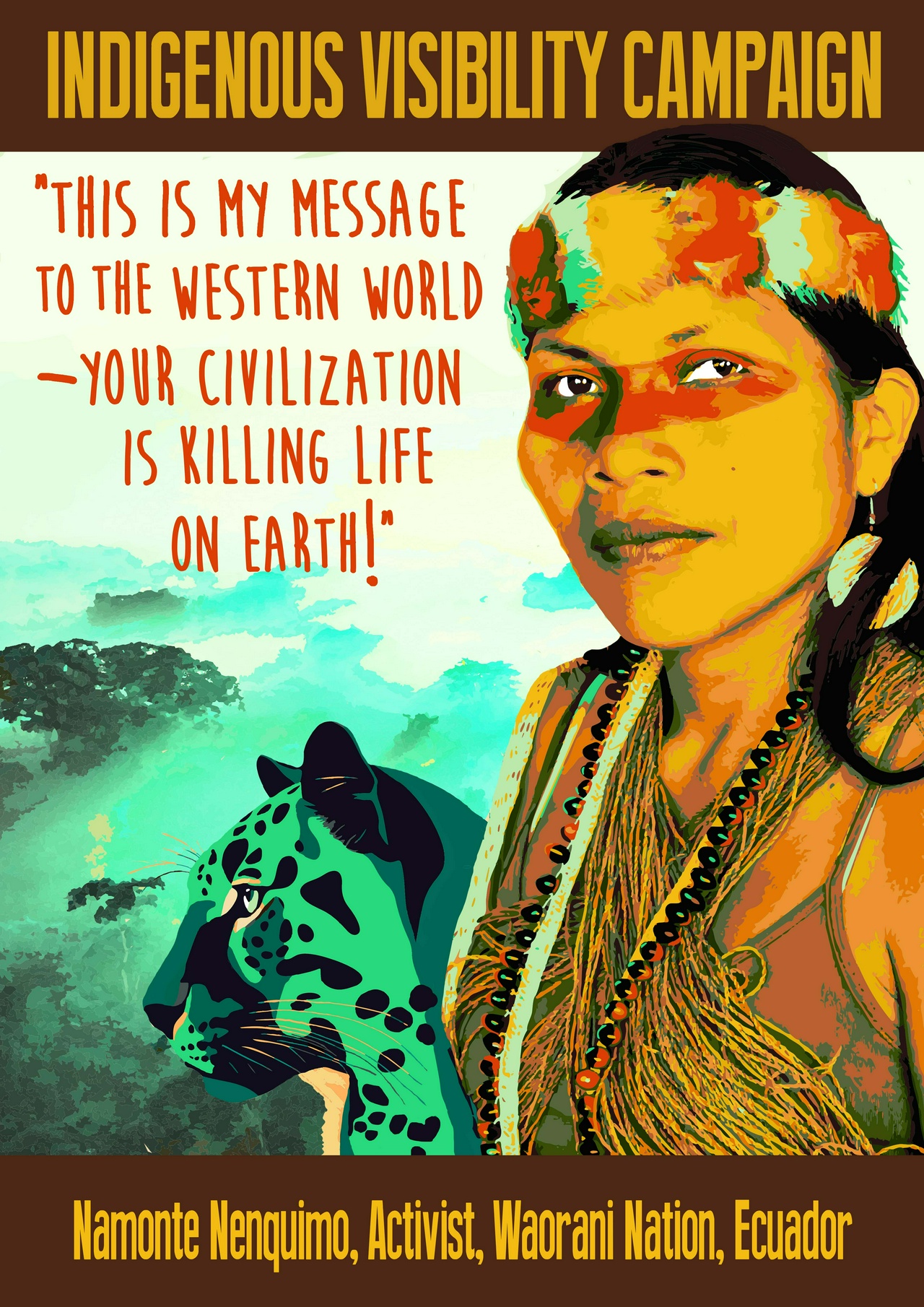 Indigenous Visibility Campaign