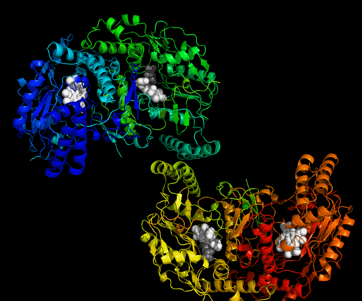 "Identify the molecule" league #28. Prize: knowledge + 5 XRP + 200 TMN ...