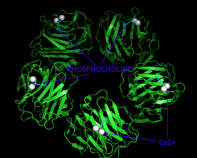 "Identify the molecule" league #2. Prize: knowledge + 5 XRP + 200 TMN ...
