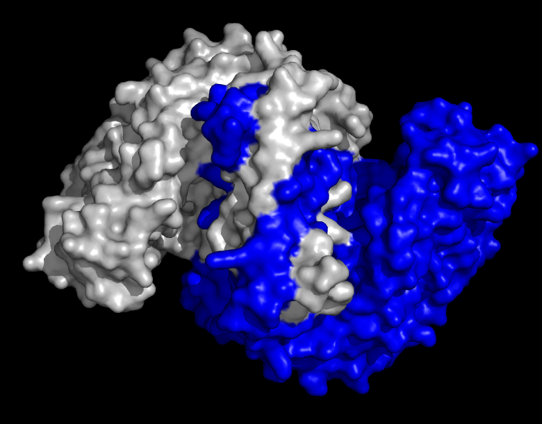 "Identify the molecule" league #7. Prize: knowledge + 5 XRP + 200 TMN ...