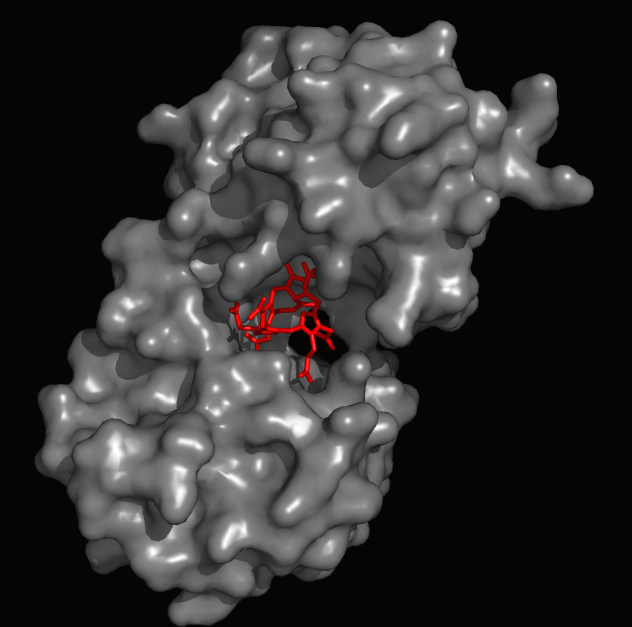 "Identify the molecule" league #25. Prize: knowledge + 5 XRP + 200 TMN ...