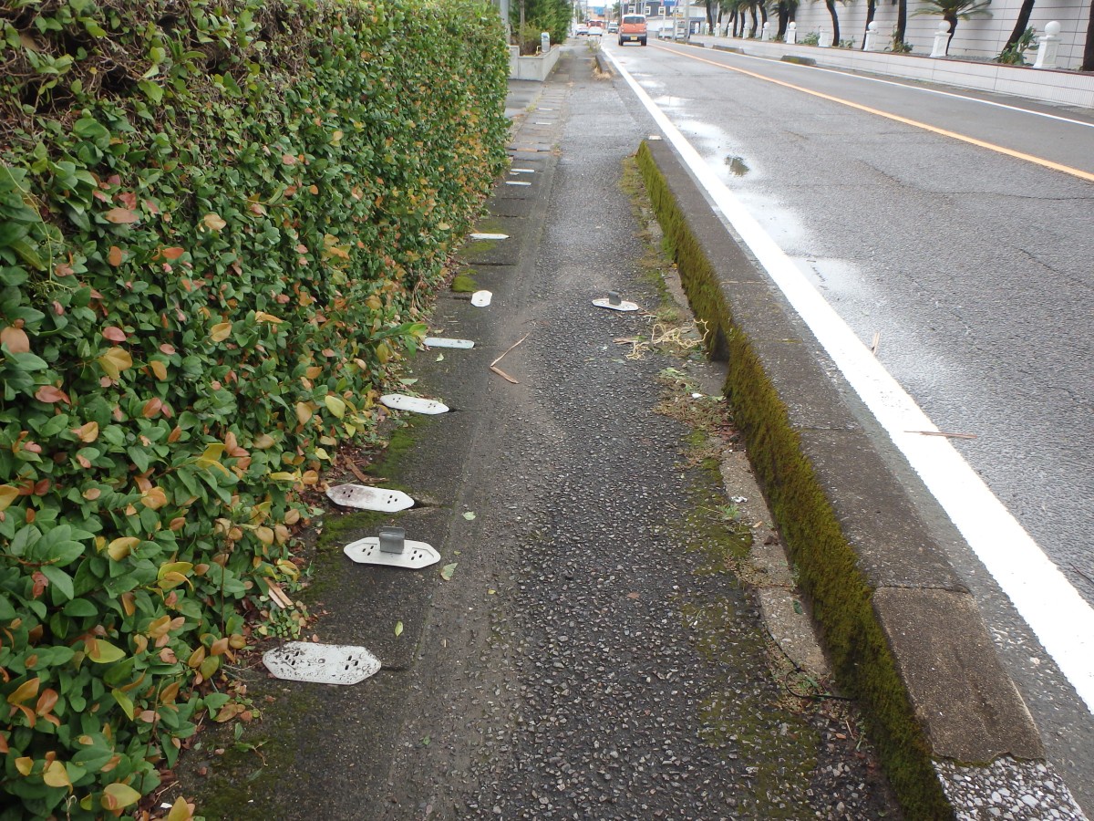 Snap.as: Share your photos — Aoshima after Super Typhoon 14